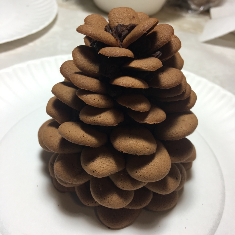 Chocolate Pinecone - Workshops Essayer